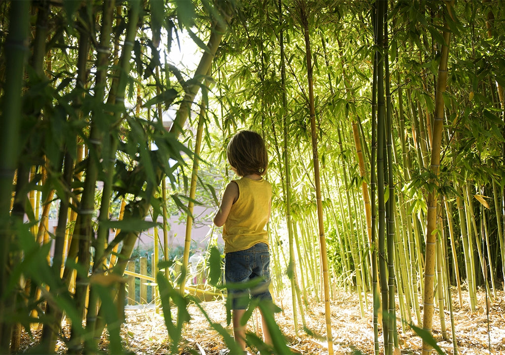 Bamboo Toys: Sustainable Fun for Kids | Hape – Hape MENA